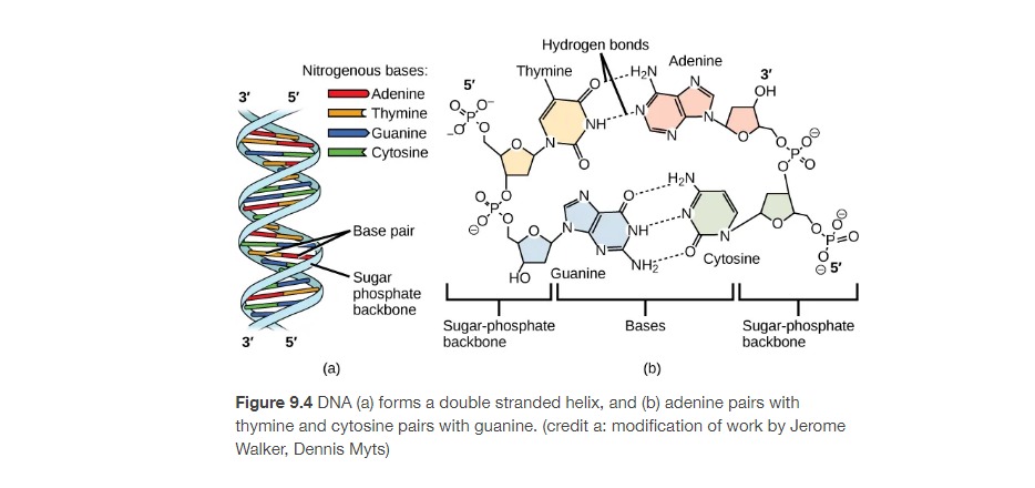 DNA – Learning Innovation | Centre for Teaching, Learning and ...